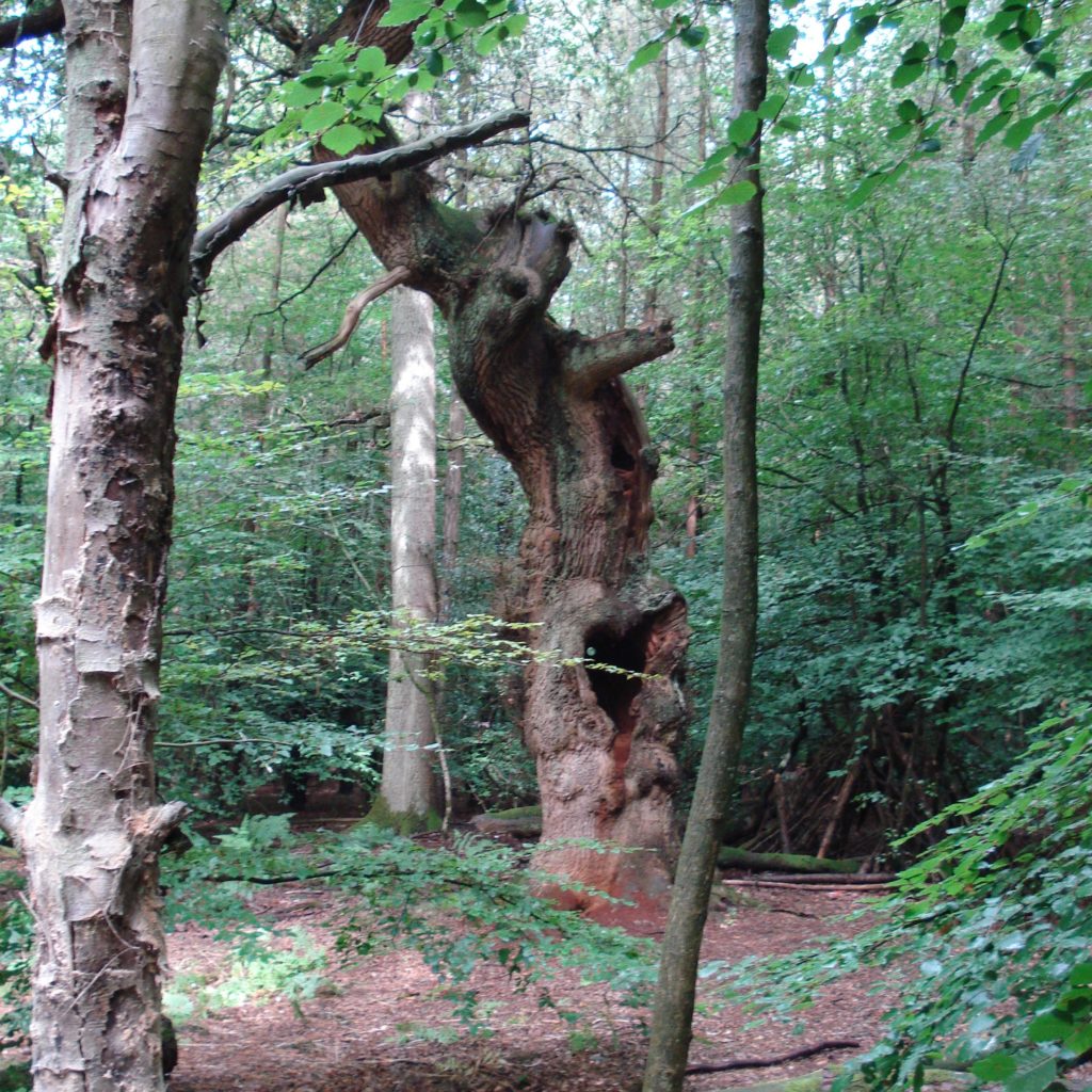 Bye-Bye to Beechy Buckinghamshire - Crystals & Crochet