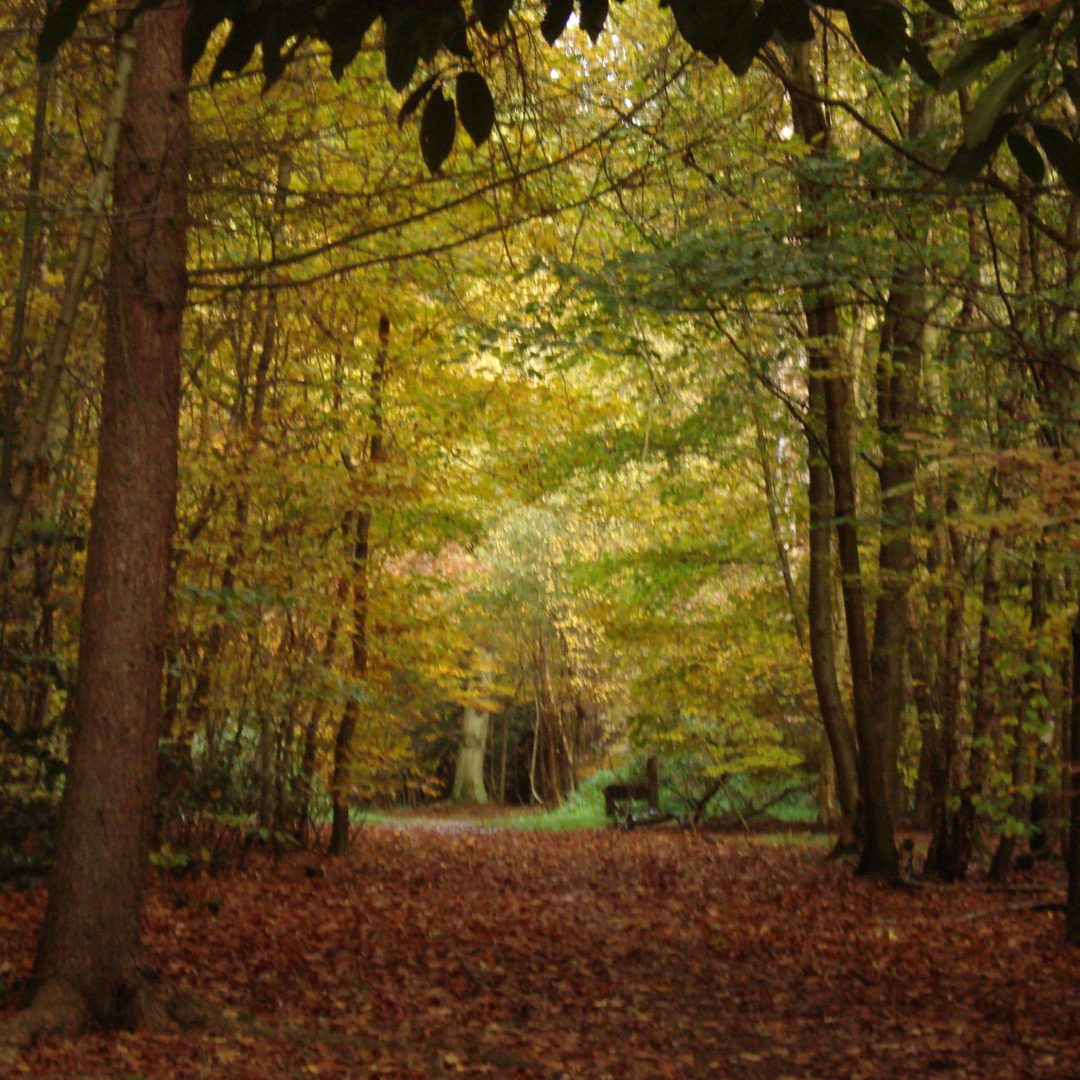 Bye-Bye to Beechy Buckinghamshire - Crystals & Crochet